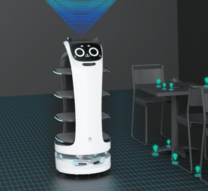 Smart Delivery Robots – Walking Stick Mobility