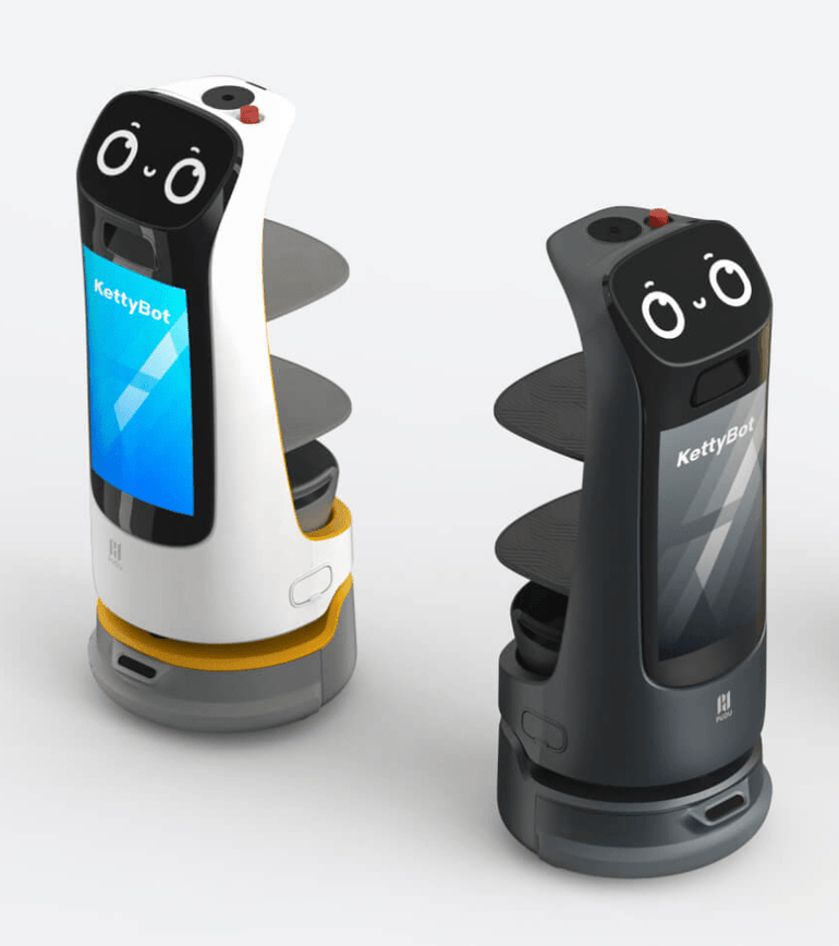 Smart Delivery Robots – Walking Stick Mobility